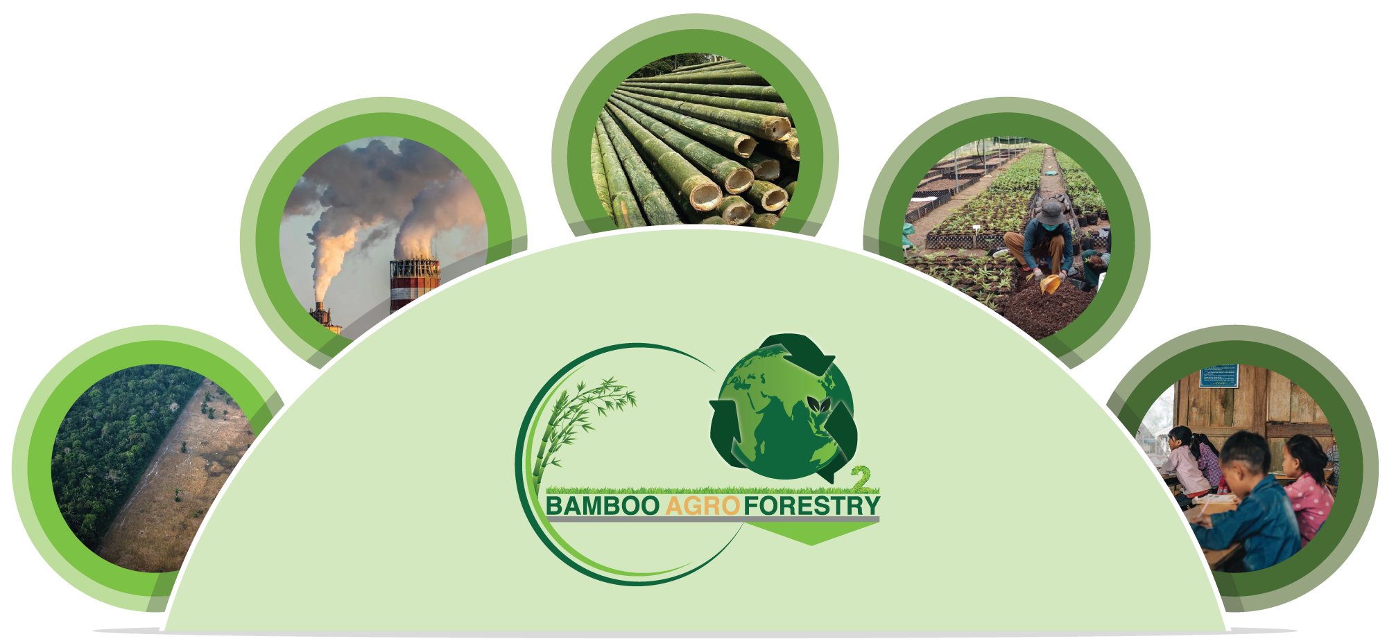 Deployment Model - Bamboo Agro Forestry