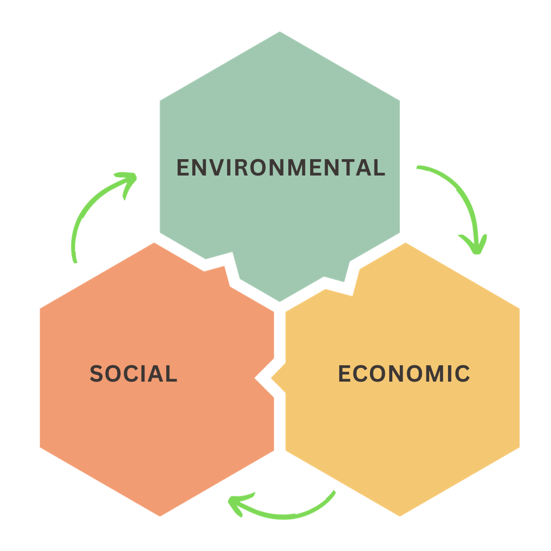 Sustainable Agroforestry Practices Training - Bamboo Agro Forestry