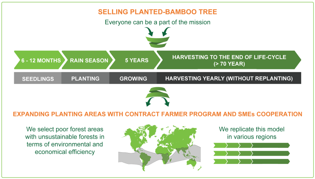 Deployment Model - Bamboo Agro Forestry